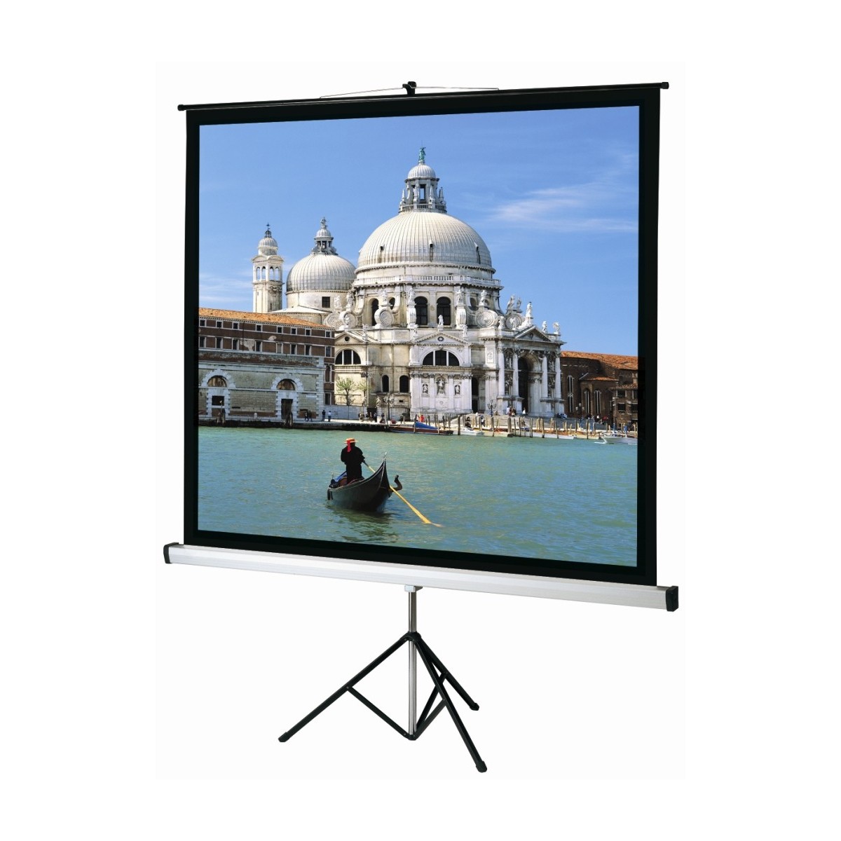 TELI PER VIDEOPROIETTORI